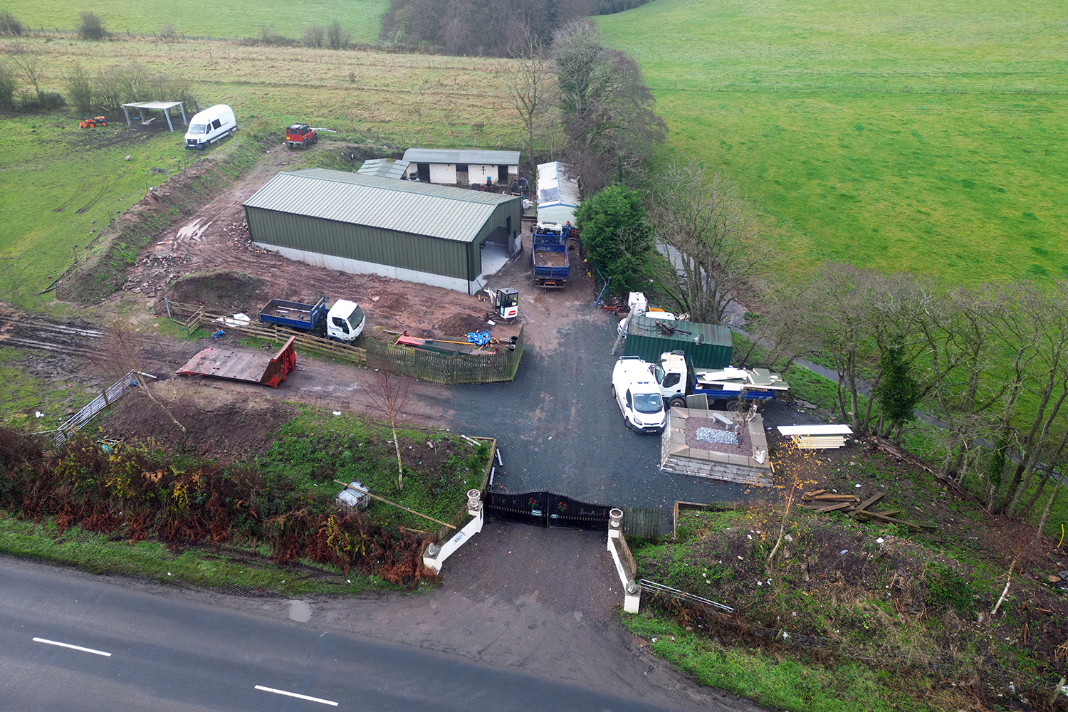 ‘It was as if someone had been murdered’: the felling of ...