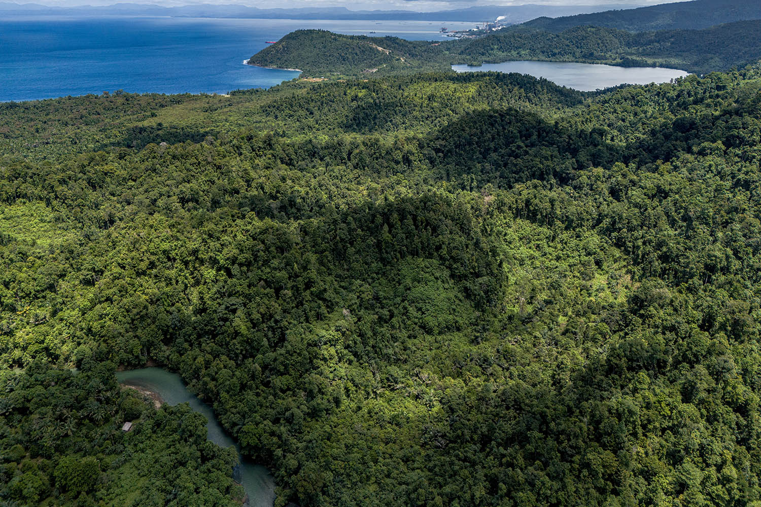 Perspective: how the quest for nickel scars Indonesia